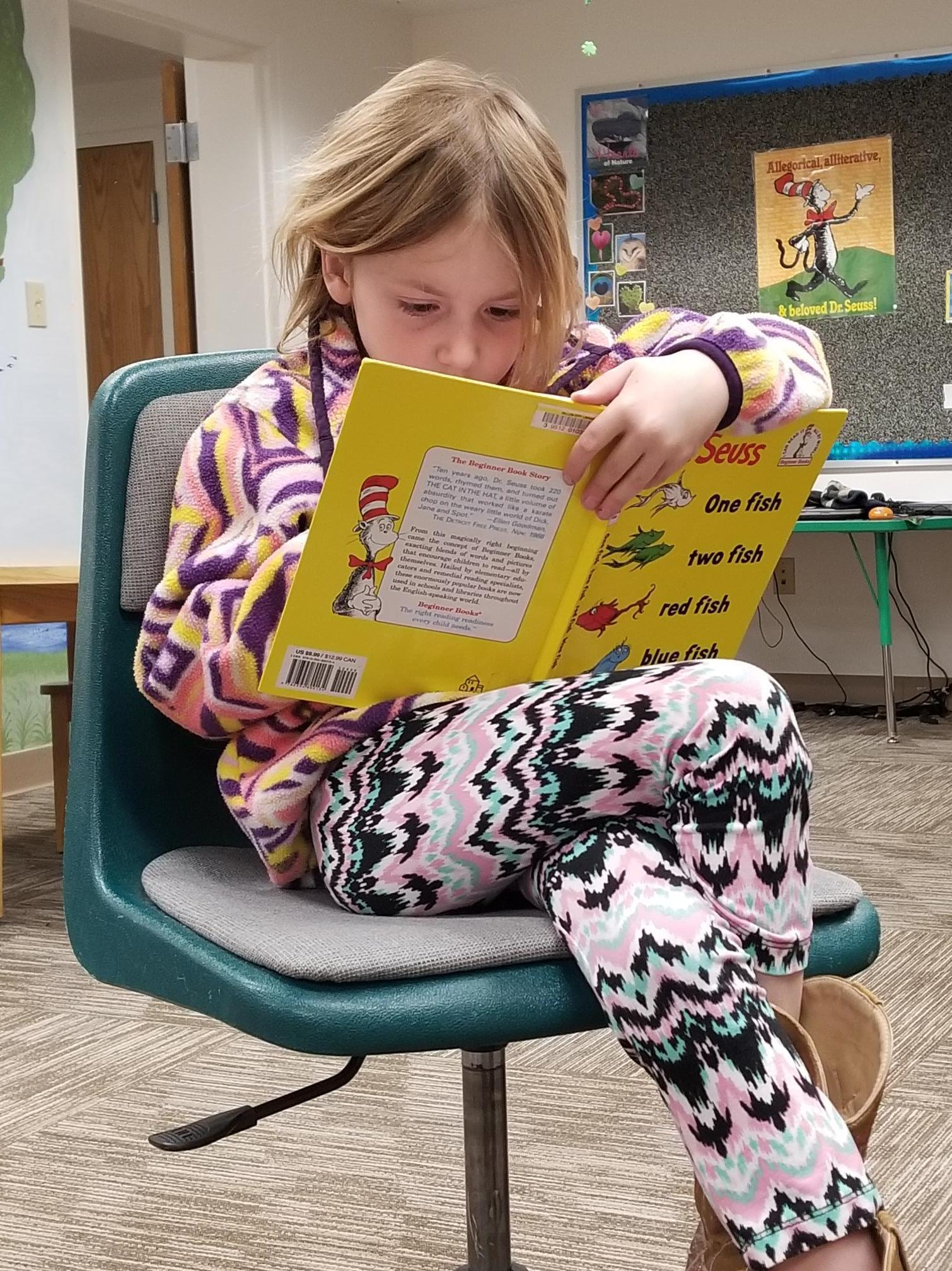 Books – Dillon Public Library